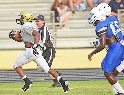 Bulldogs to get stern test against Cougars - Port Arthur News | Port ...
