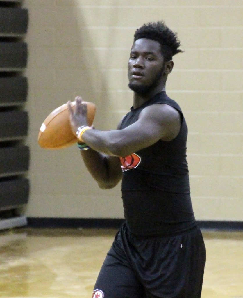 Year of the Titan? Defense, skill players give Harrison confidence in ...