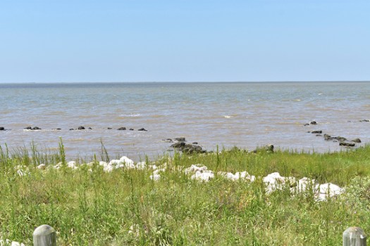 STAYcation — SE Texas’ wild kingdom: Everything under the sun at the ...