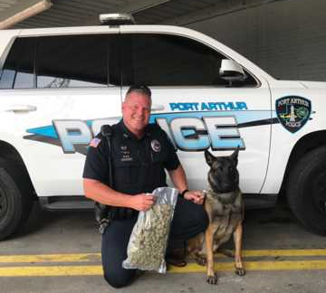 PAPD, K9 make drug arrest - Port Arthur News | Port Arthur News