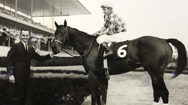 JIMMY PICOU 1934-2019: Port Arthur native trained multiple stakes ...