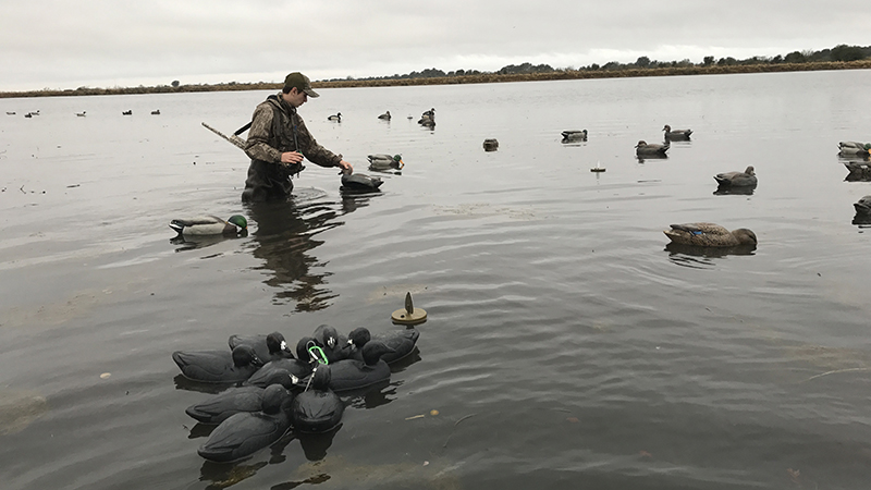 OUTDOORS — Diver Smackdown, a hunt to remember - Port Arthur News ...