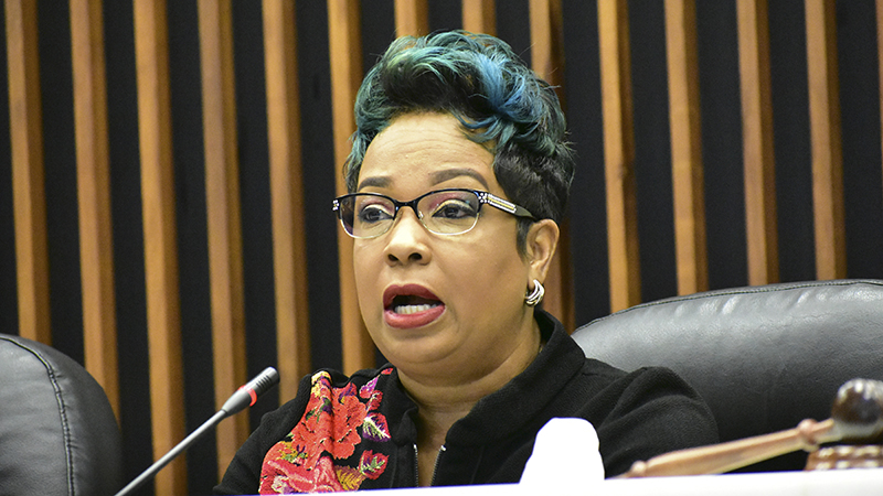 Charlotte Moses announces re-election campaign | Port Arthur News