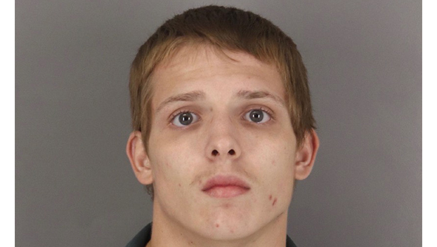 Teenager linked to 29 grams of meth during traffic stop, police say ...