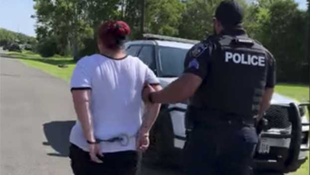 Groves Police outline steady decrease in crime through the years ...