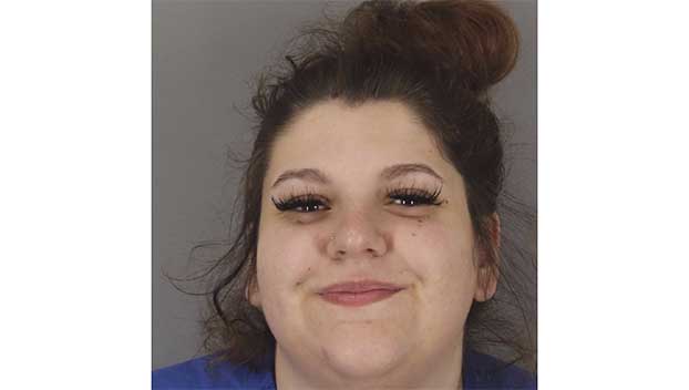 Police: Woman admitted to intentionally hitting man with car | Port ...