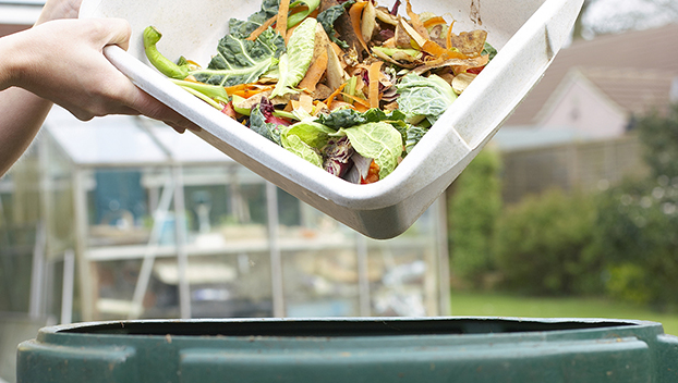 TEXAS MASTER GARDENER — Know the basics behind the art of composting ...